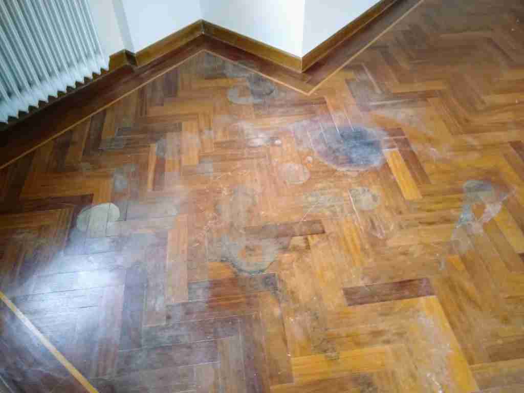 Secretos del Mantenimiento de tu Tarima de Madera - ParkSinta - Parquet ...